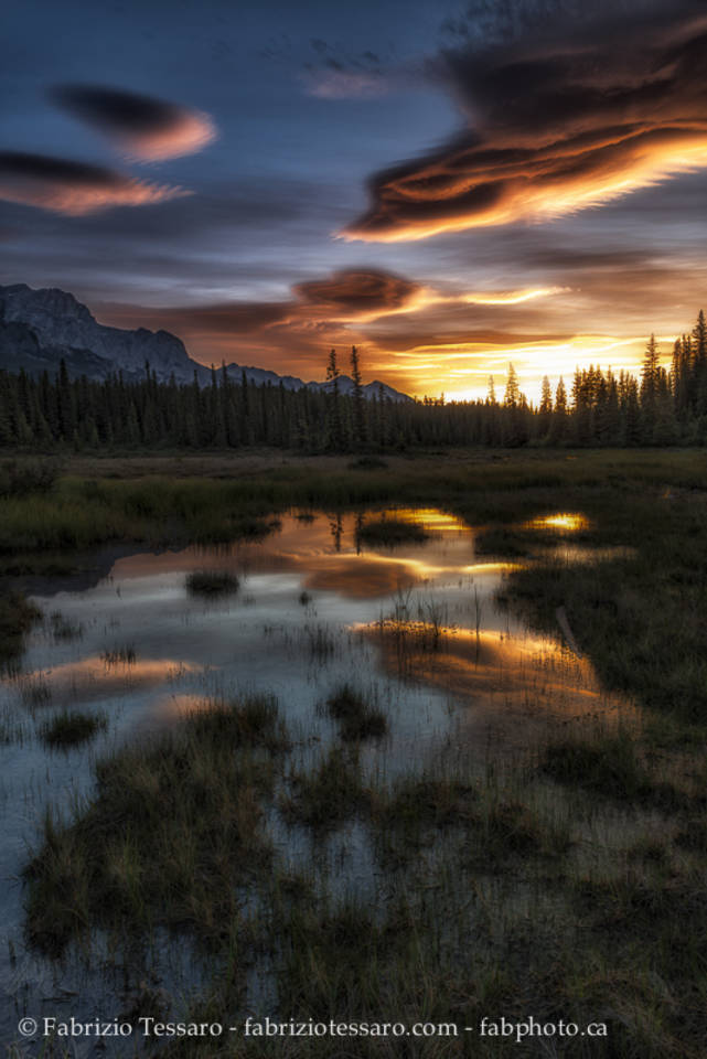 Sunrise in the Foothills | Kootenay PLains, Alberta | The Passionate Frame